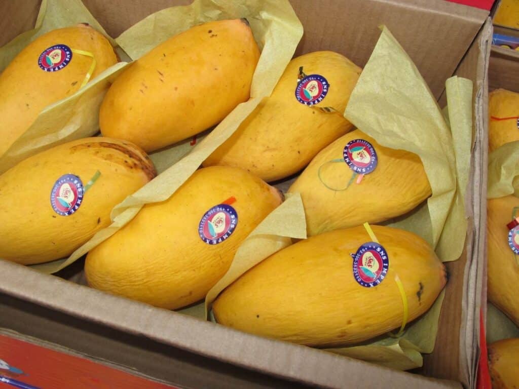Mangoes in Pakistan: Varieties, Production & Export – Startup Pakistan