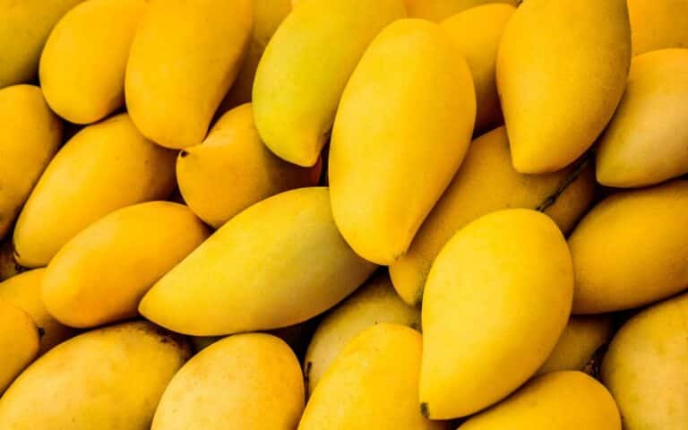 Mangoes in Pakistan: Varieties, Production & Export – Startup Pakistan