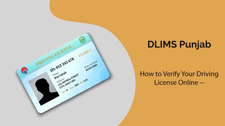 DLIMS – Online Tracking of Your Driving License Everything You Need to Know