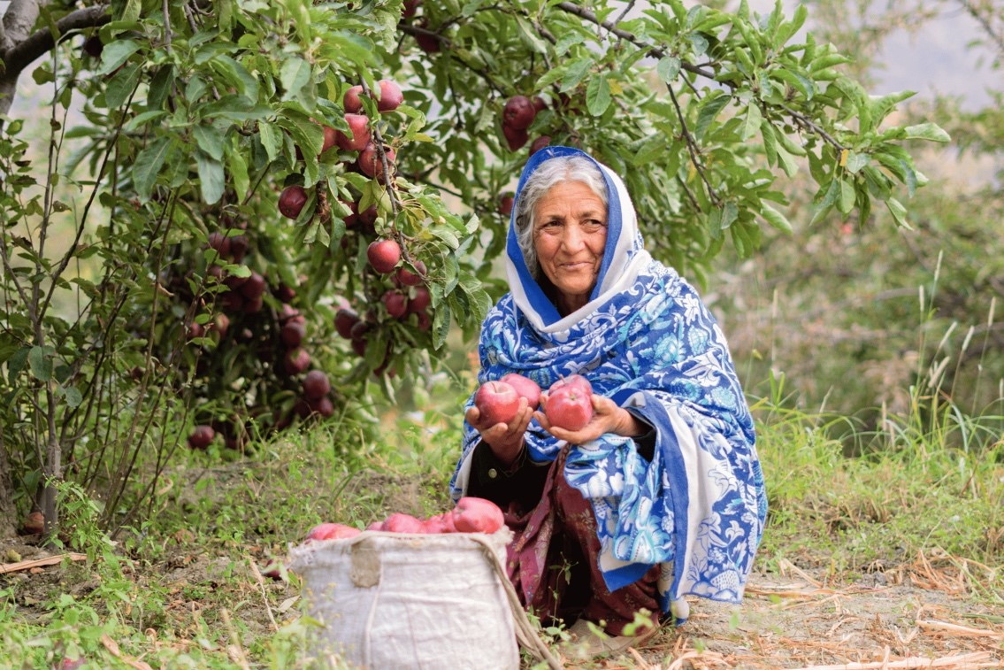 Nestlé Helps Apple Growers in Gilgit Baltistan Use Sustainable and ...