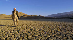 Battling Climate Change: Experts Highlight Key Interventions for a ...