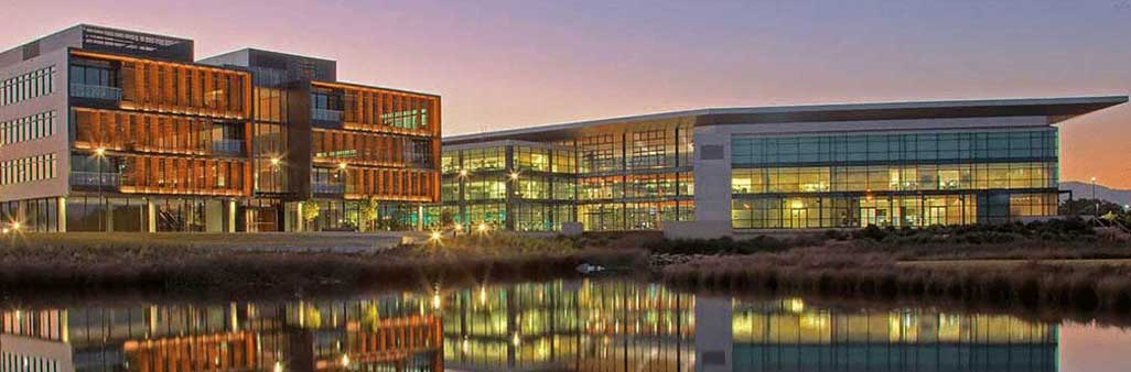 Top 5 Dubai Universities with Scholarship Programs for Pakistani ...