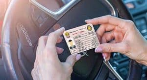 Now You Can Get Professional Driving Permit Instantly in Dubai, Here's ...