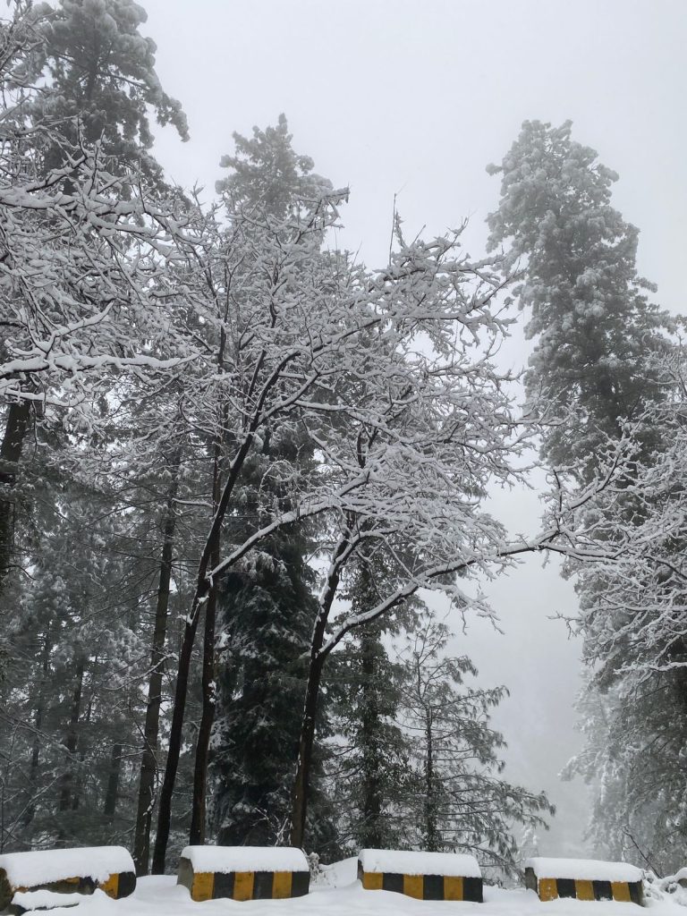 Snow Turns Northern Pakistan into Winter Wonderland – Startup Pakistan